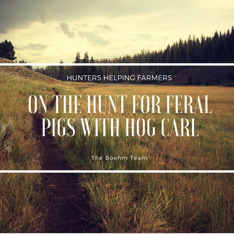 Hunters Helping Farmers: On the Hunt for Feral Pigs with Hog Carl ...