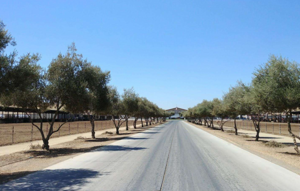 10 Most Expensive Ranches for Sale in America - Boerne Real Estate For Sale