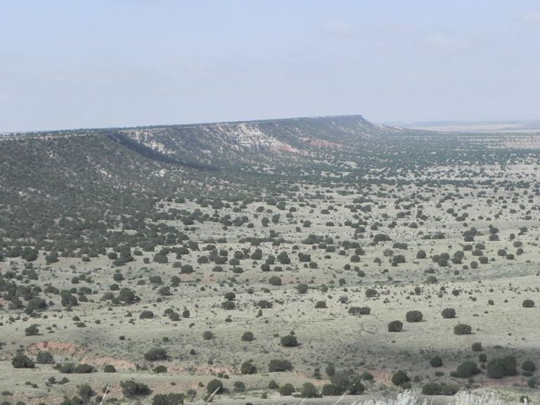 10 Biggest Ranches for Sale in America - Boerne Real Estate For Sale