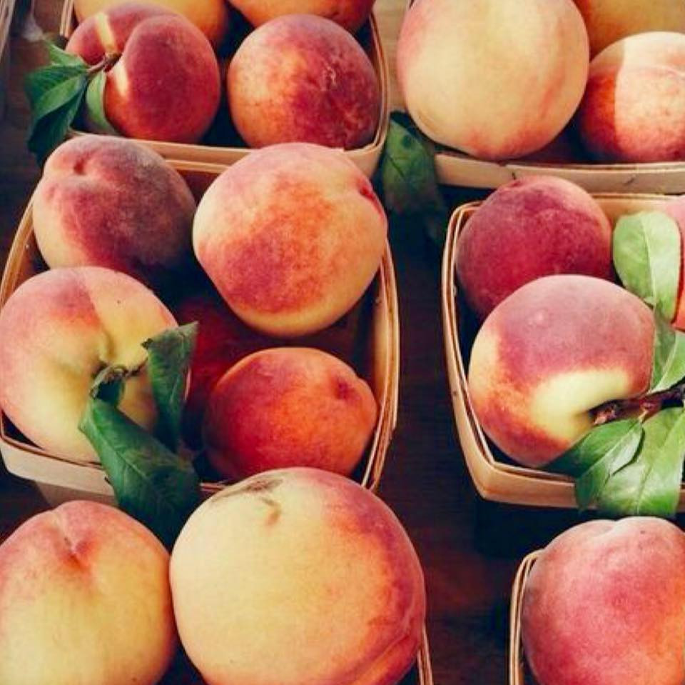 All About The Stonewall Peach JAMboree - Boerne Real Estate For Sale