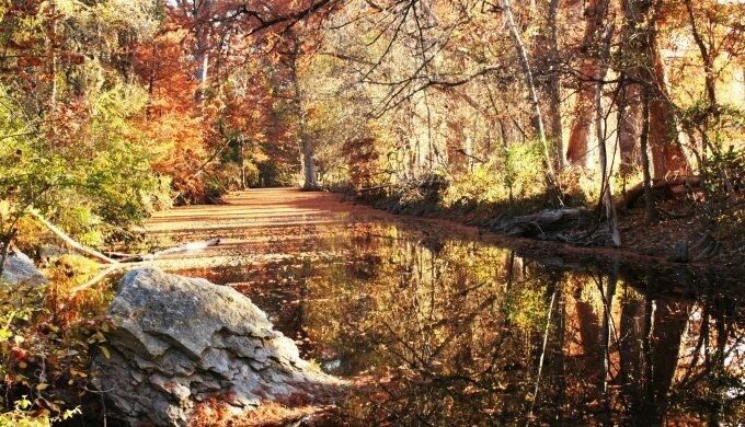 Hill Country Fall Colors