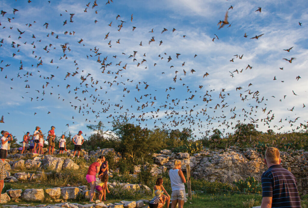 Things to Do in Concan, Texas - Boerne Real Estate For Sale